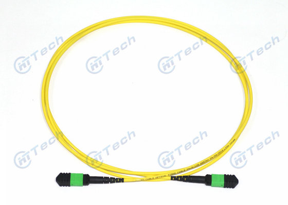 Singlemode MTP Patch Cord 10G 40G MPO Fiber Jumper Durable ROHS Certificated