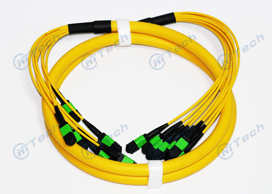 Male Type MPO MTP Patch Cord , 72 Cores MPO Fiber Jumper Singlemode IEC Standard
